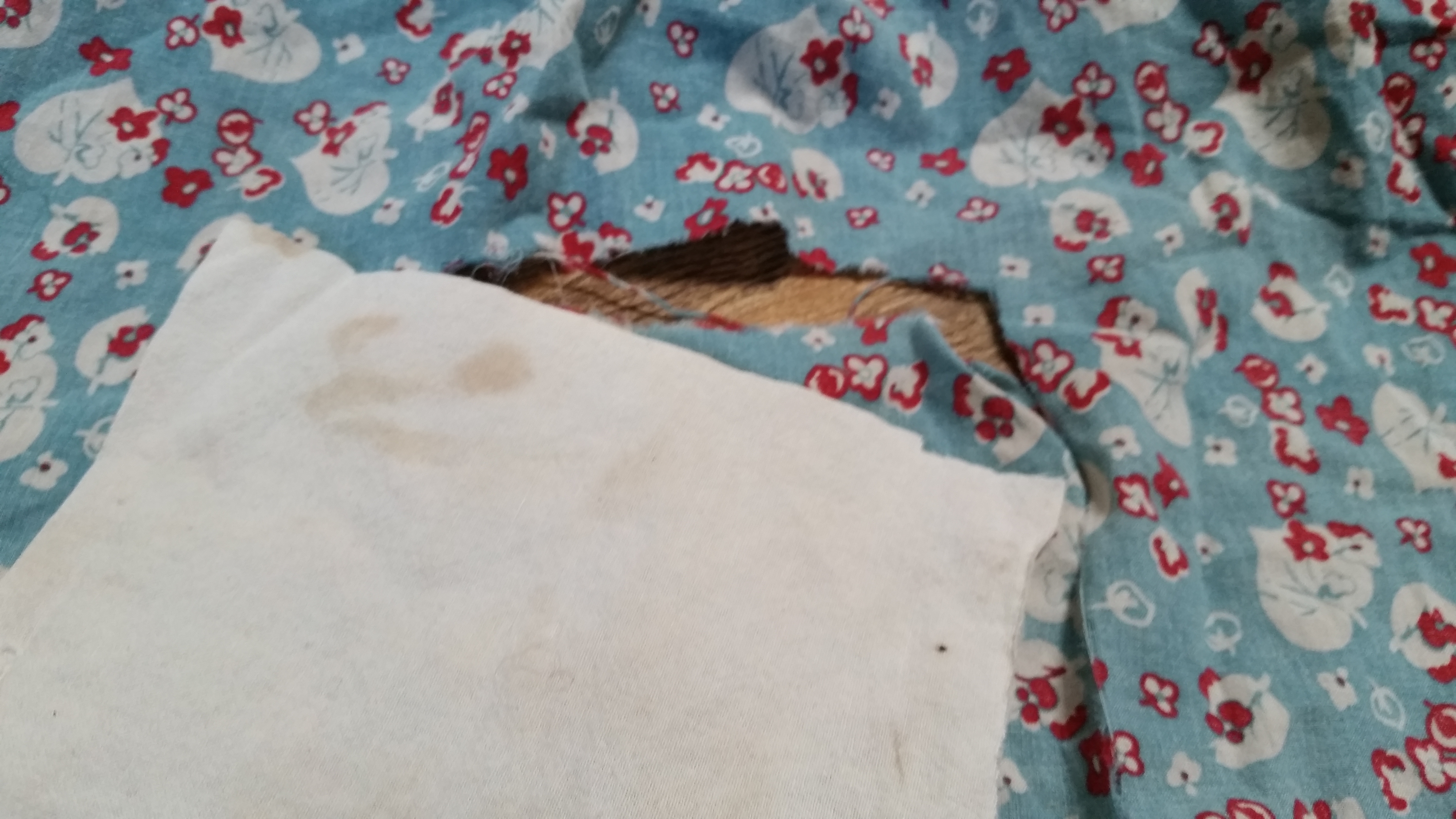 The Lost Art Of Clothing Repair – Toadstools And Fairy Rings