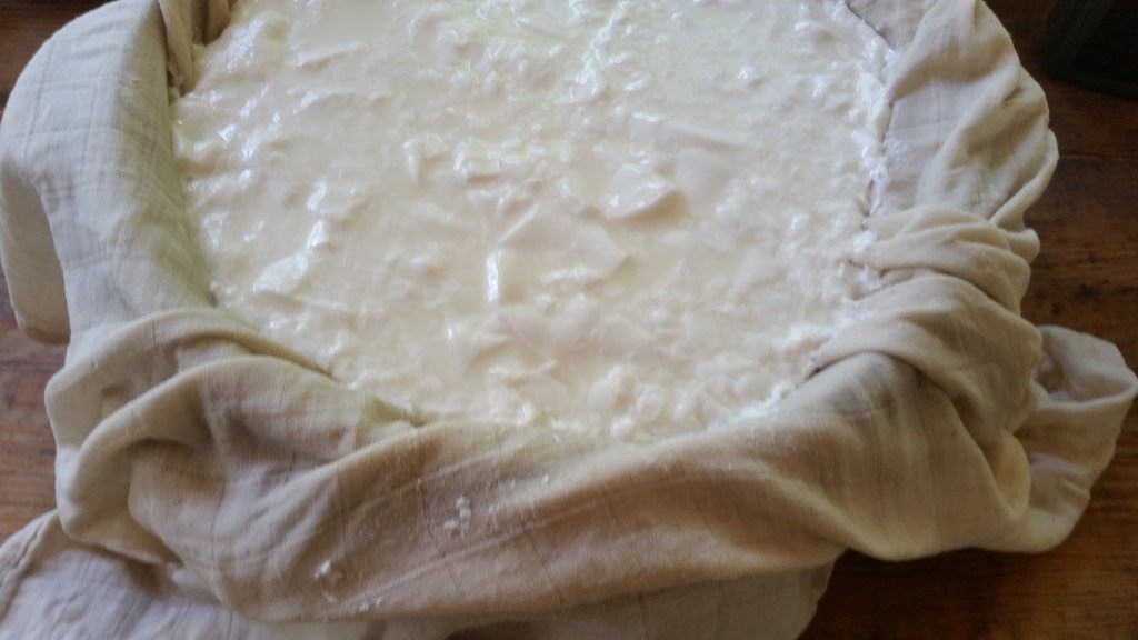 Natural Cheesemaking: Fromage de Chevre and Creme Fraiche – Toadstools ...