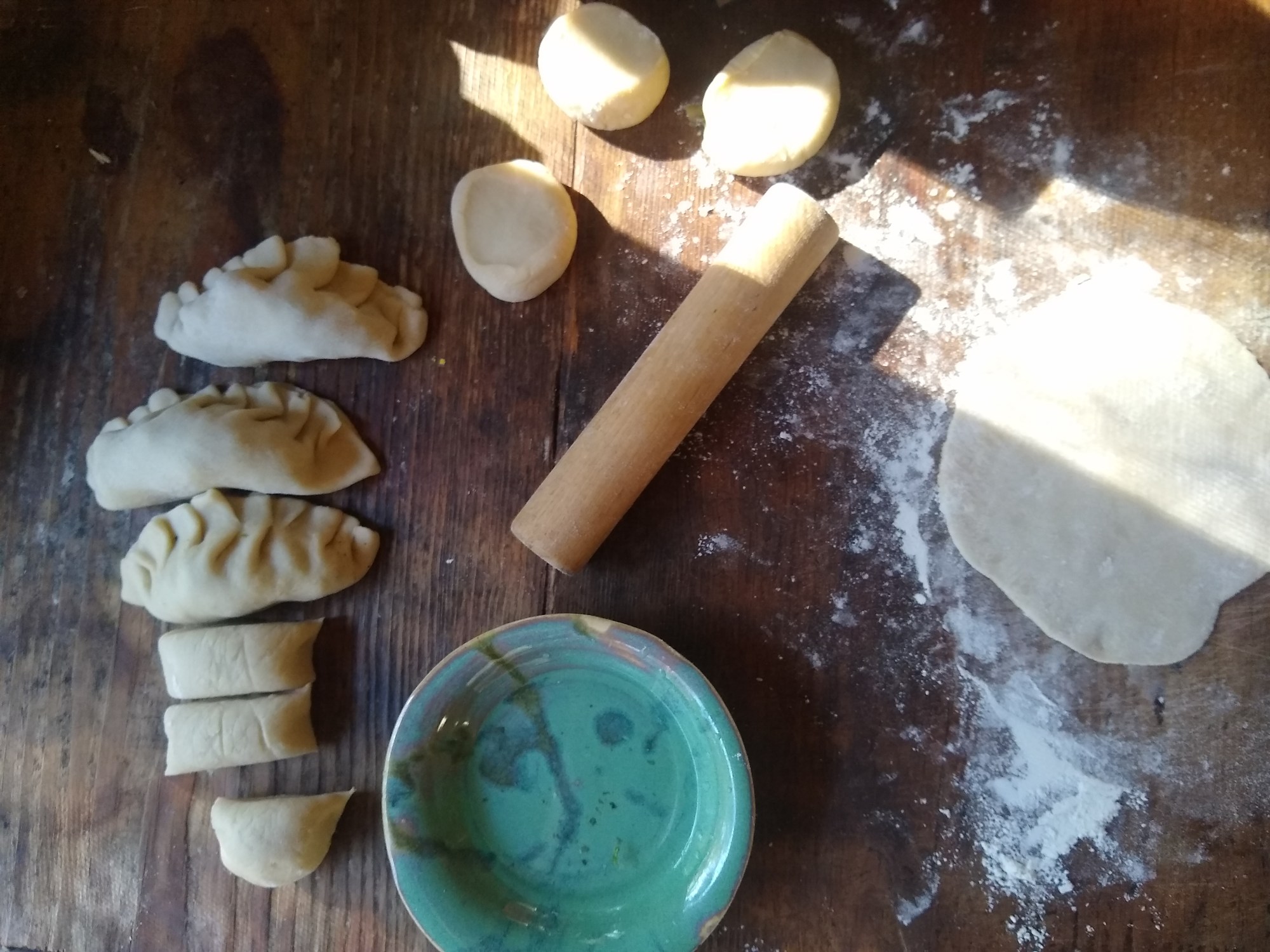 Holiday Potsticker Dumplings – Toadstools And Fairy Rings