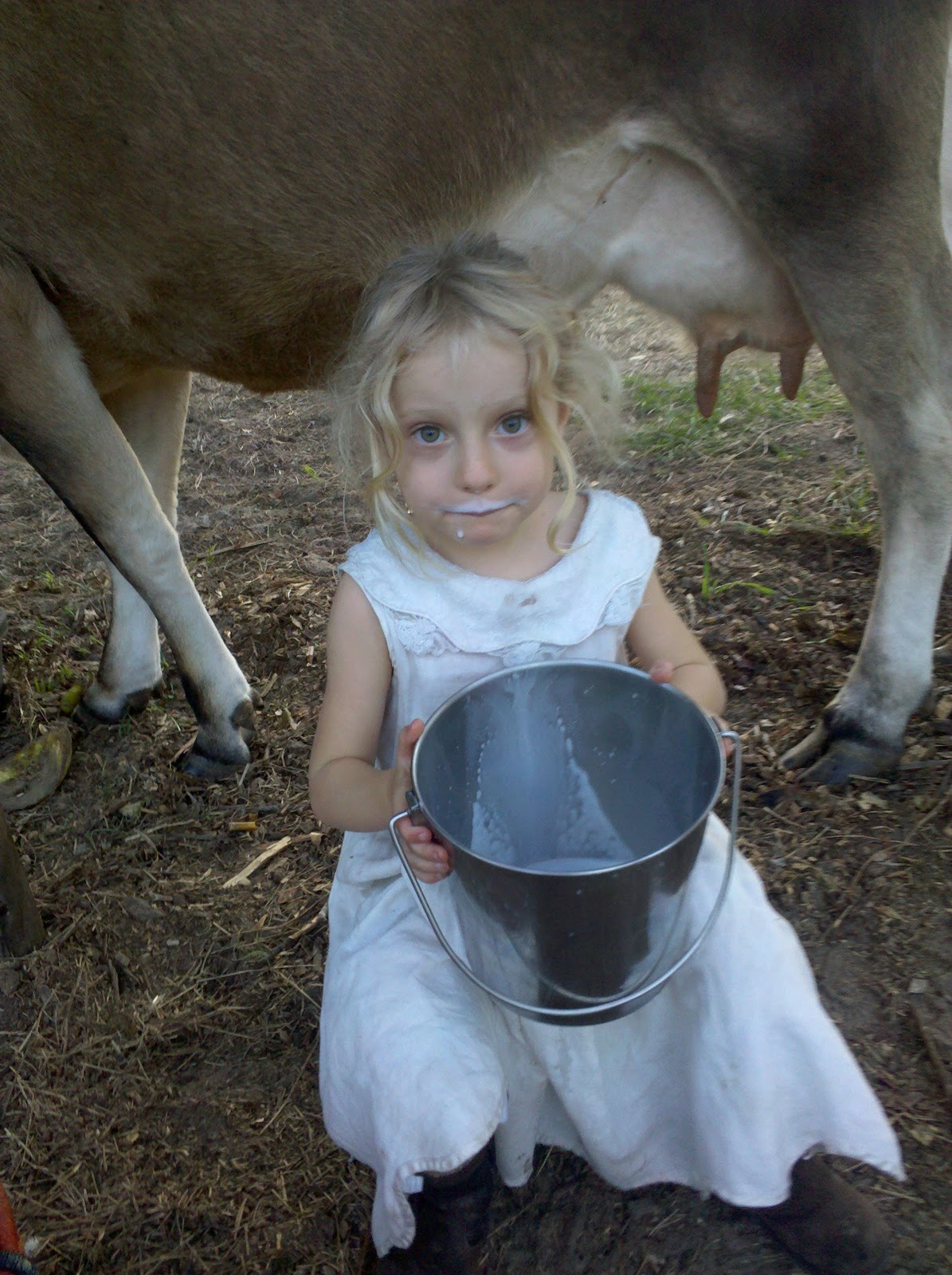 The Littlest Milkmaid – Toadstools And Fairy Rings